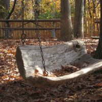 Awesome DIY Tree Swing Ideas To Try Now | DIY Projects